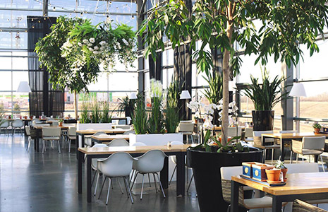 What's Inside - Enjoy Centre